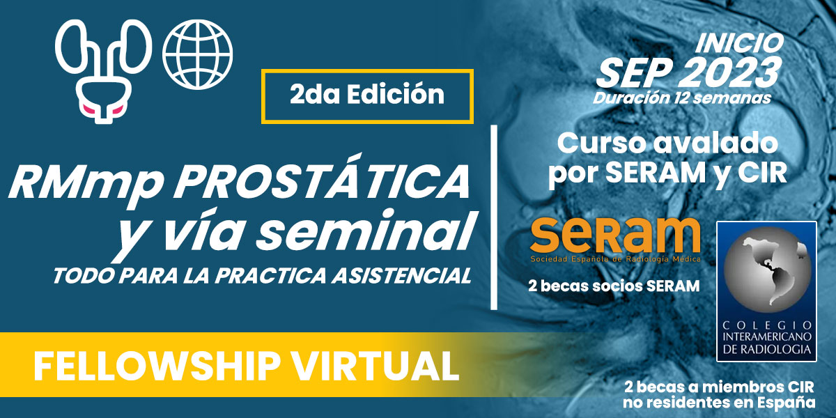 FELLOWSHIP VIRTUAL RMMP PROSTÁTICA Y VÍA SEMINAL - 2DA EDICIÓN ﻿ - SERAM